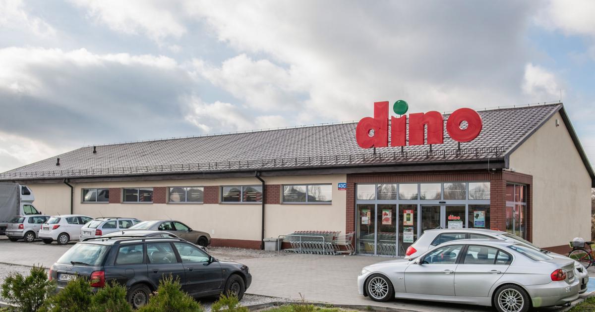 Notowania Dino i Eurocashu w górę po wynikach Biedronki - Puls Biznesu - pb.pl