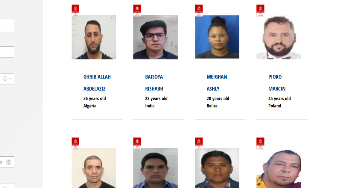 Interpol wydał czerwoną notę za poszukiwanym prezesem serwisu Cinkciarz.pl - Puls Biznesu - pb.pl