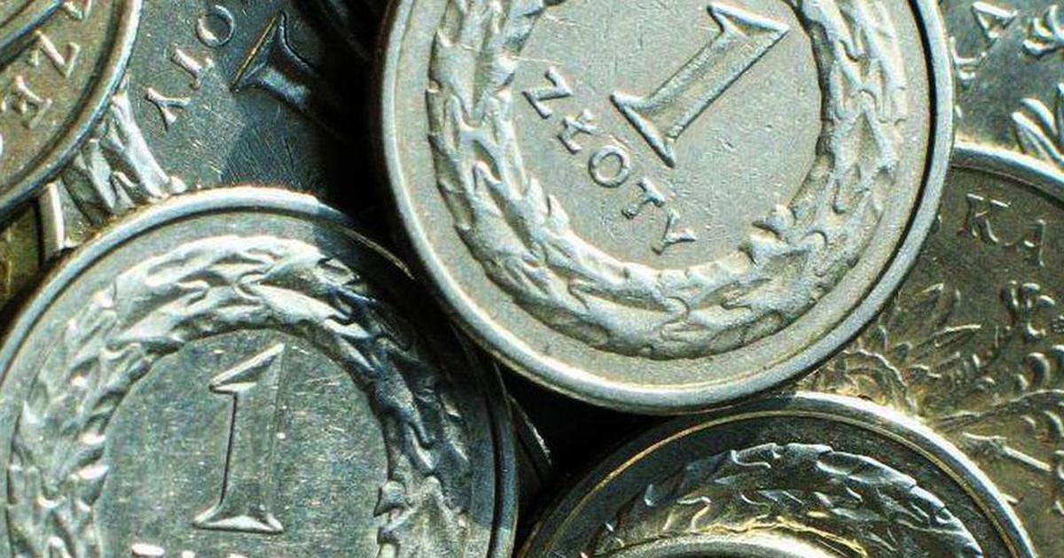 Kurs euro w pobliżu 4,25-4,26 zł jeśli nie będzie zaskoczeń ze strony prezesa NBP - Puls Biznesu ...